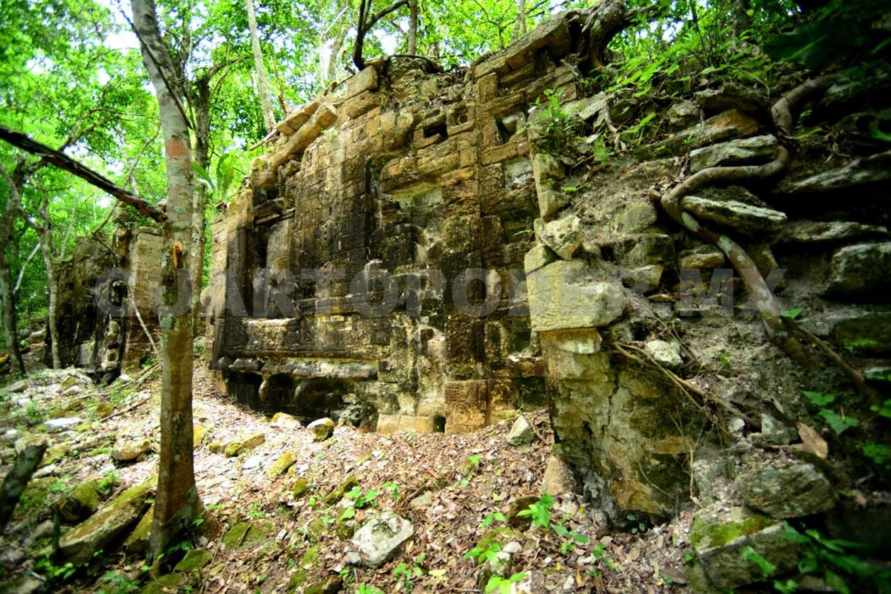 Descubren paisaje modificado por los mayas